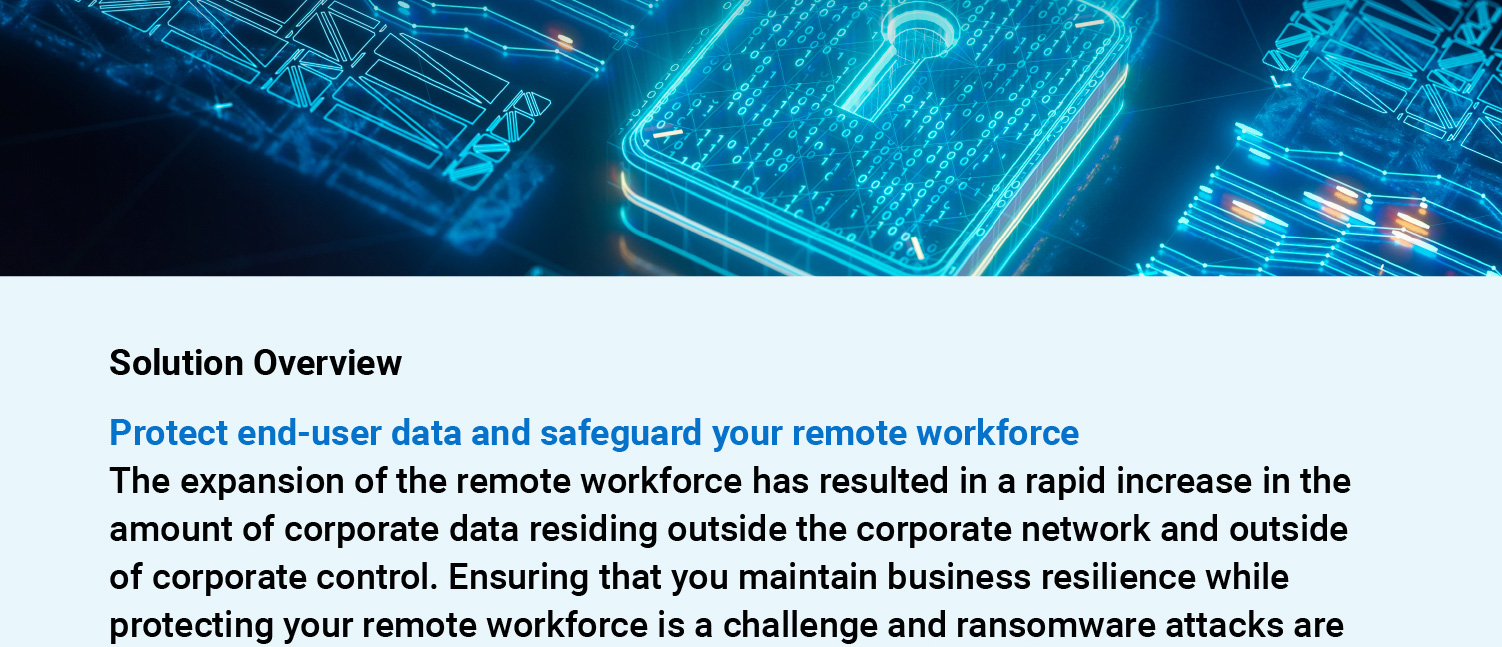APEX Backup Services for Endpoints